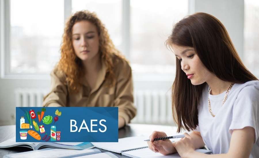 Becas Baes | Consulta y solicita una Beca de Alimentación para la ...