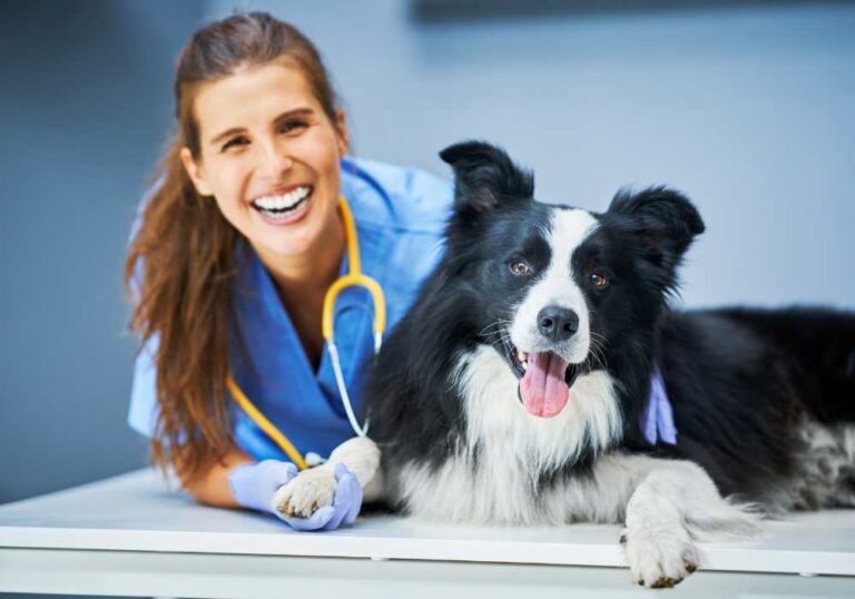 ¿Dónde estudiar veterinaria en Colombia?